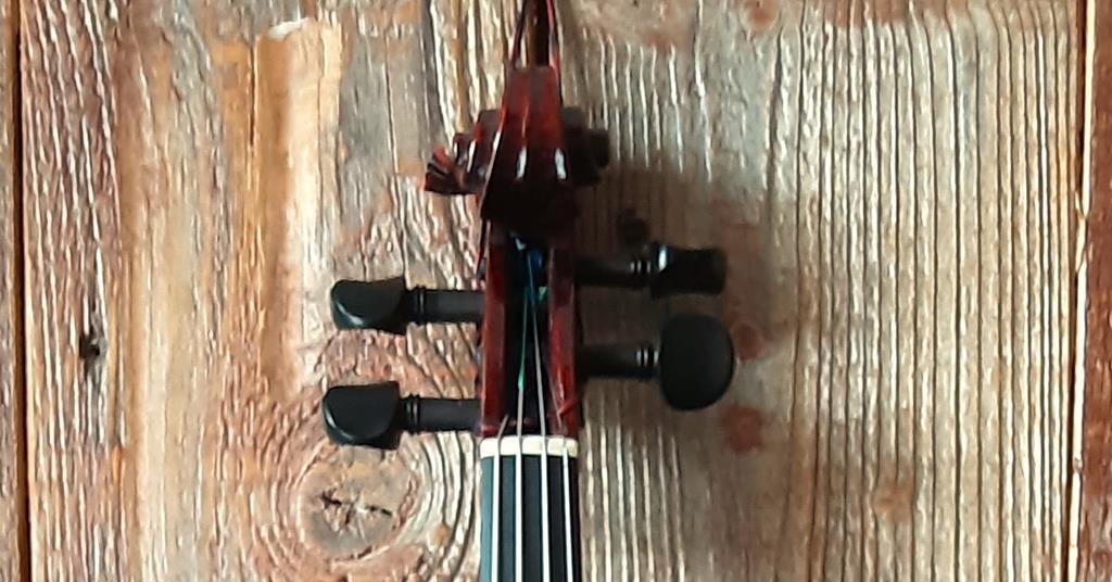 The Strad - The Maccaferri-style violin inspired by Django Reinhardt ...