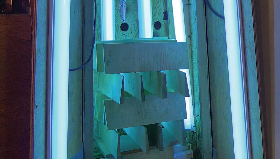 Trade secrets: Wood ponding | Premium Feature | The Strad