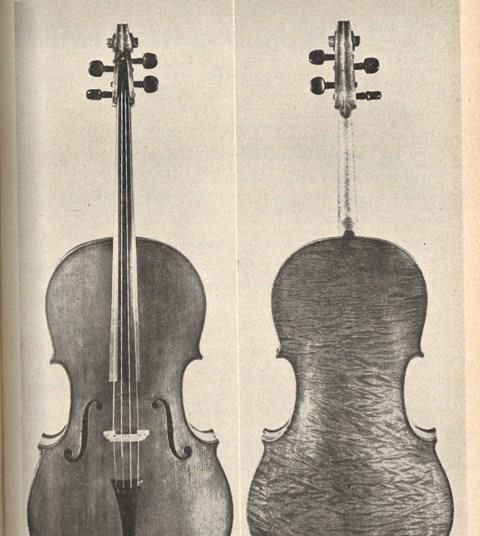 From the Archive: an Alexander Despine cello | Premium Gallery | The Strad