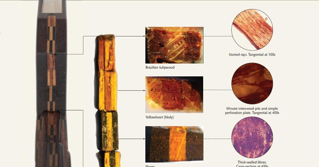 The Strad - Unweaving the rainbow: the ‘Spanish court’ bow | The Strad
