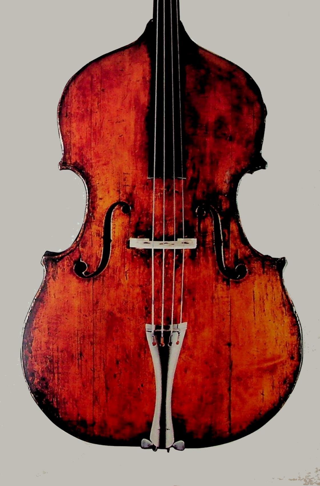 Double Bassist magazine: Matteo Gofriller c.1708 bass | Premium Feature ...