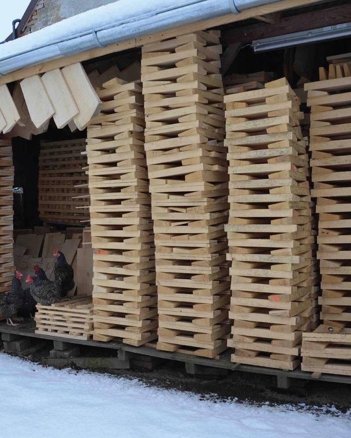 Ask the Experts: selecting the right tonewood | Focus | The Strad