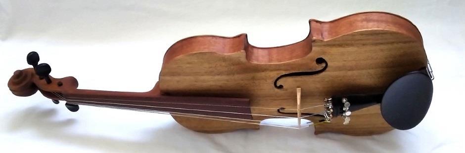 Violin crafted entirely from wood of indigenous African trees | News ...