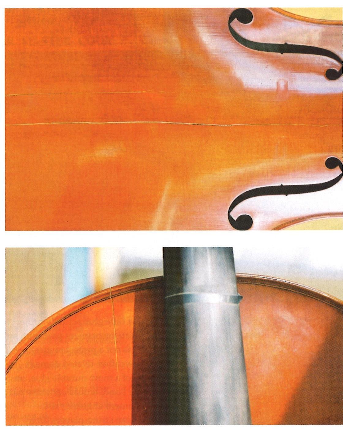 Protecting your stringed instrument in sub-zero temperatures | Focus ...