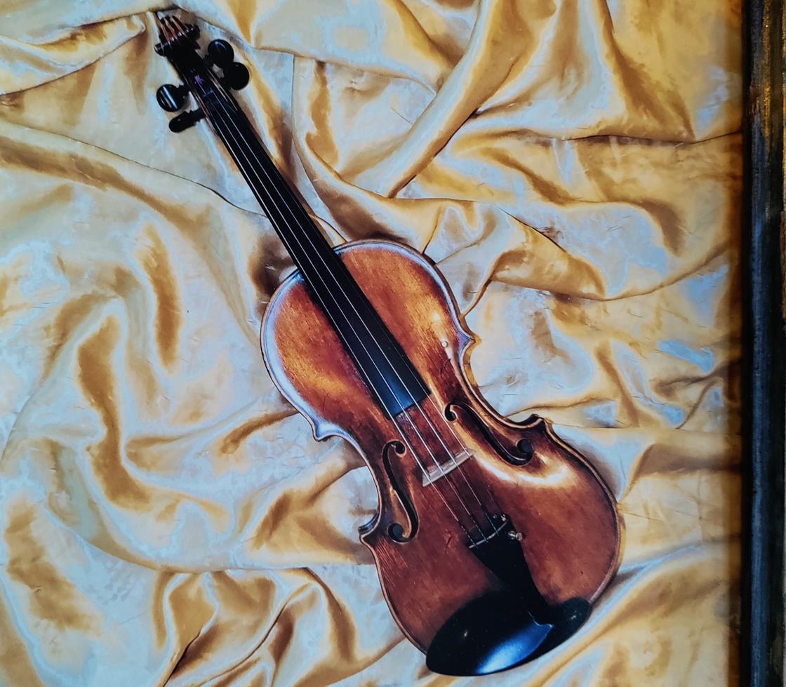 The Strad - Your violin, your legacy: the story of my violin, ‘Mrs ...