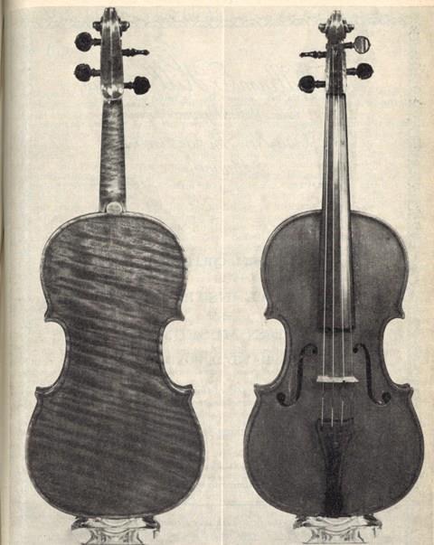 From the Archive: a violin by Joseph Rocca, Turin, 1847 | Premium ...