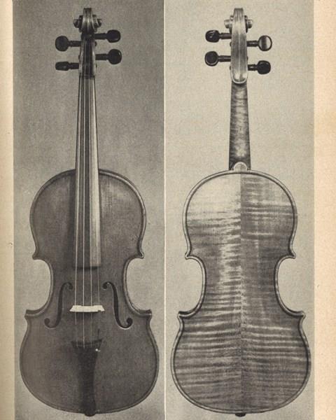 From the Archive: a violin by Ferdinando Gagliano, Naples 1774 ...