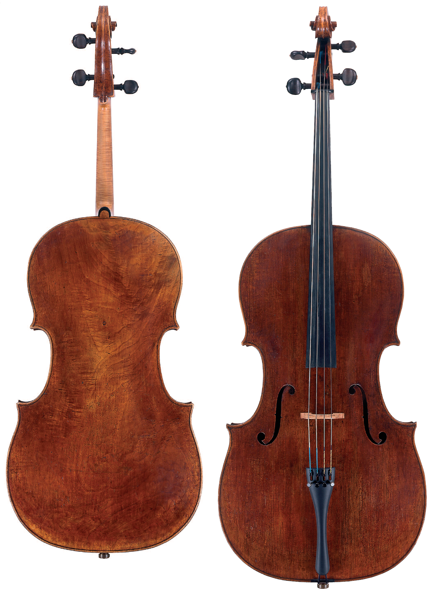 In focus: cello by Giovanni Grancino, 1693 | Focus | The Strad