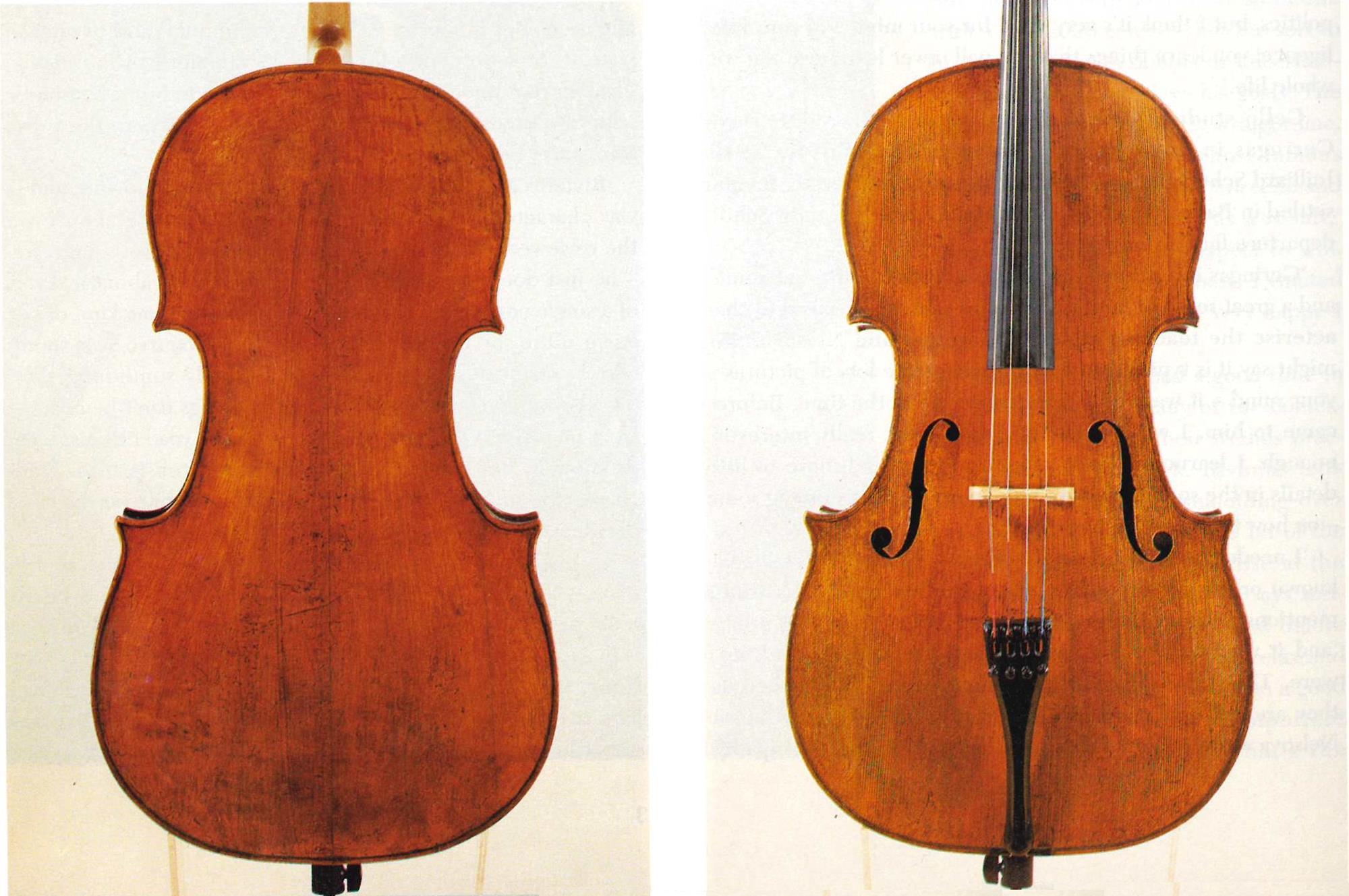 From the archive: Gustav Rivinius on his 1712 Grancino cello | Focus ...