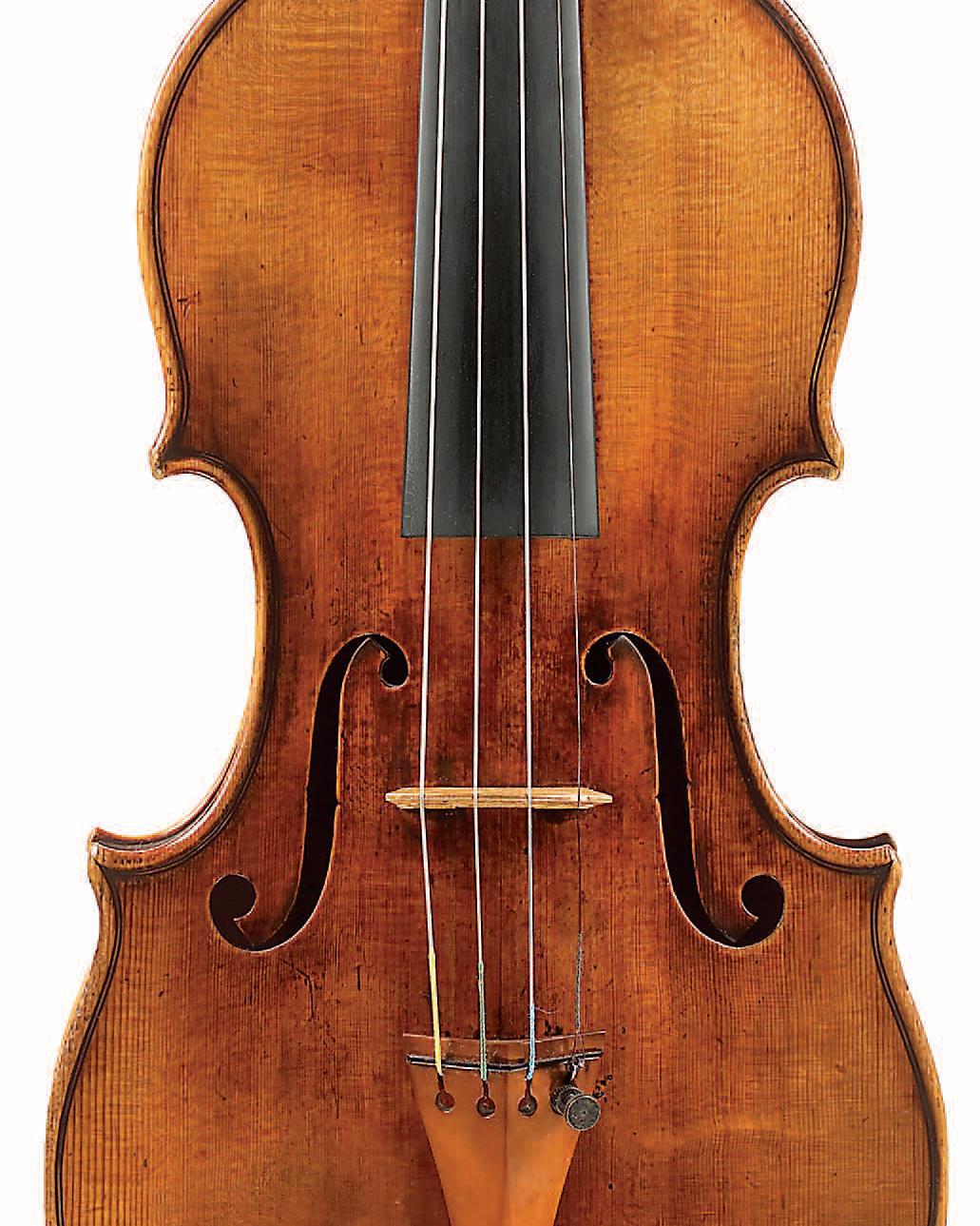 In Focus: studies of great and unusual stringed instruments | Gallery ...