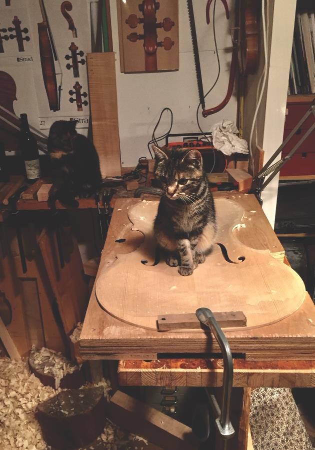 Trade Secrets: a peninsular bench extension | Premium Feature | The Strad