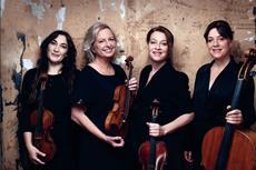 The Strad, essential reading for the string music world since 1890