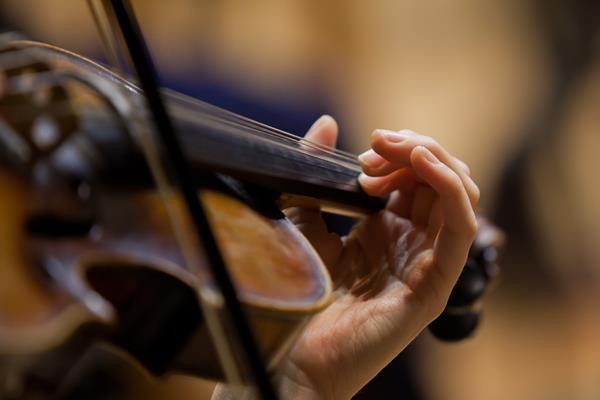 The Strad - Setting up the left hand: a guide for beginner violinists ...