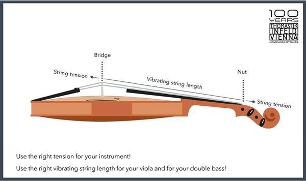Stringtelligence by Thomastik-Infeld: vibrating string length and ...