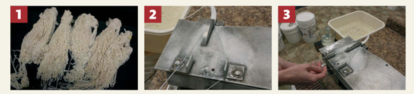 Gut strings: A strong stomach for strings | Premium Feature | The Strad