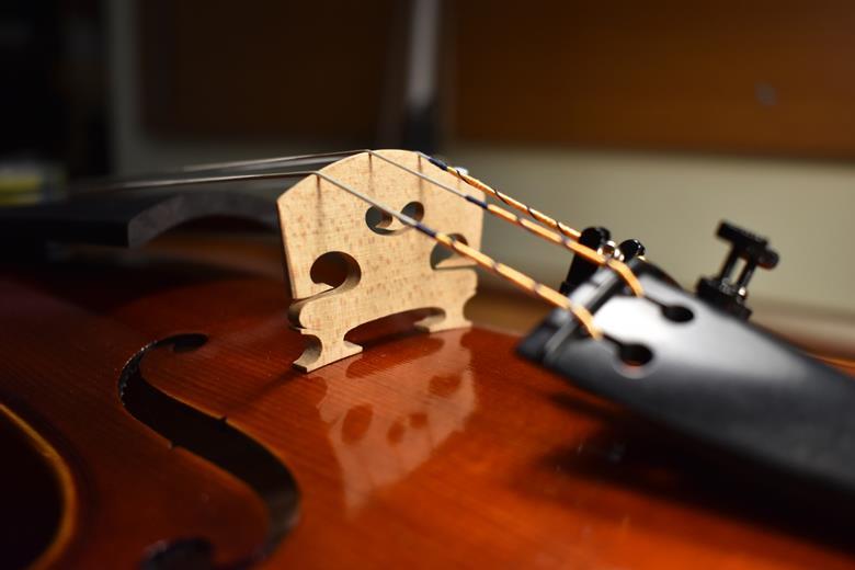 The Strad - Looking after your instrument: a guide for beginners (and ...