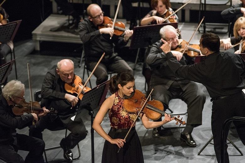 Primrose viola competition reveals 24 candidates for 2018 edition ...